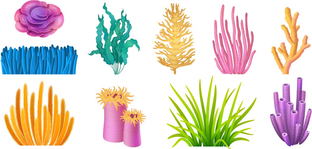 Coral Vector Images (over 74,000)