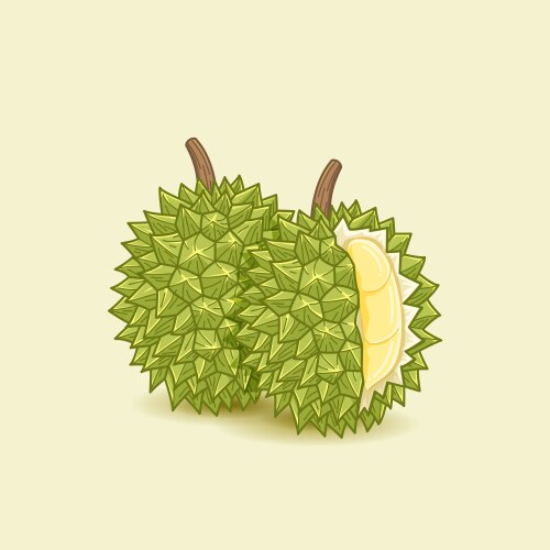 Durian Vector Images (over 4,000)