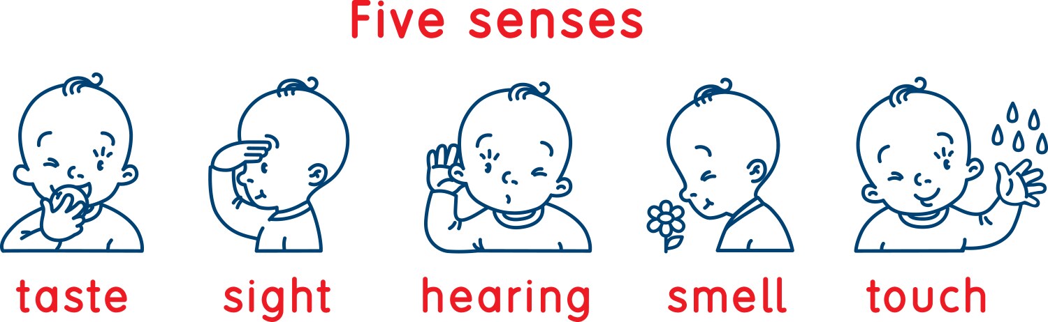 Cartoon Five Senses Vector Images (over 570)