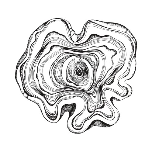 Natural edge wood slab Royalty Free Vector Image