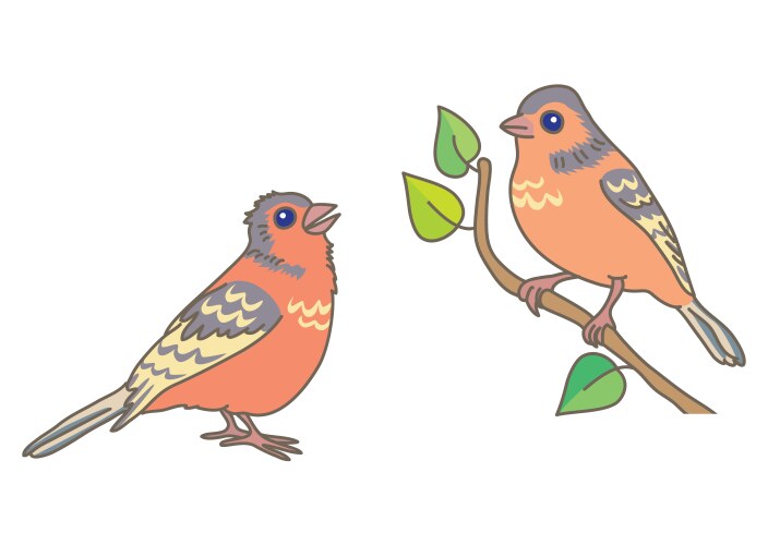 Cartoon yellow canary bird on white background Vector Image