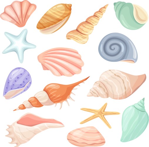 Seashell Royalty Free Vector Image - VectorStock