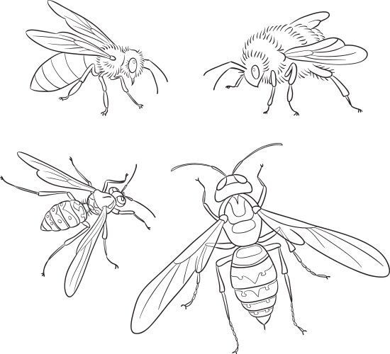 Insect Outlines Vector Images (over 55,000)