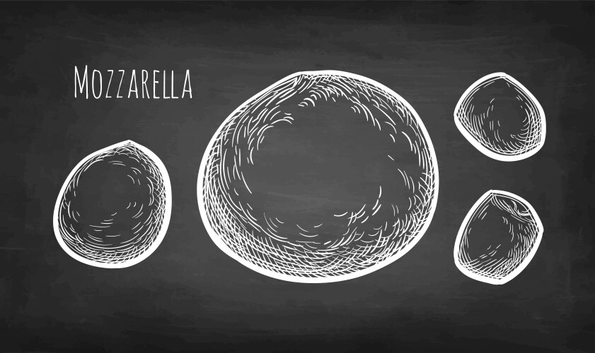 Chalk sketch of mozzarella cheese Royalty Free Vector Image