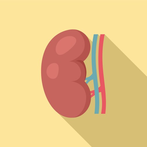 Kidney Shaped Vector Images (over 2,400)