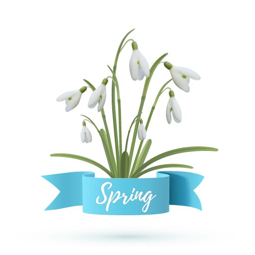 Snowdrop Vector Images (over 4,500)