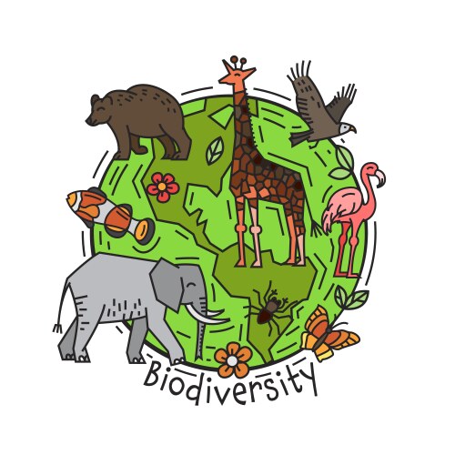 Biodiversity biological diversity variety Vector Image