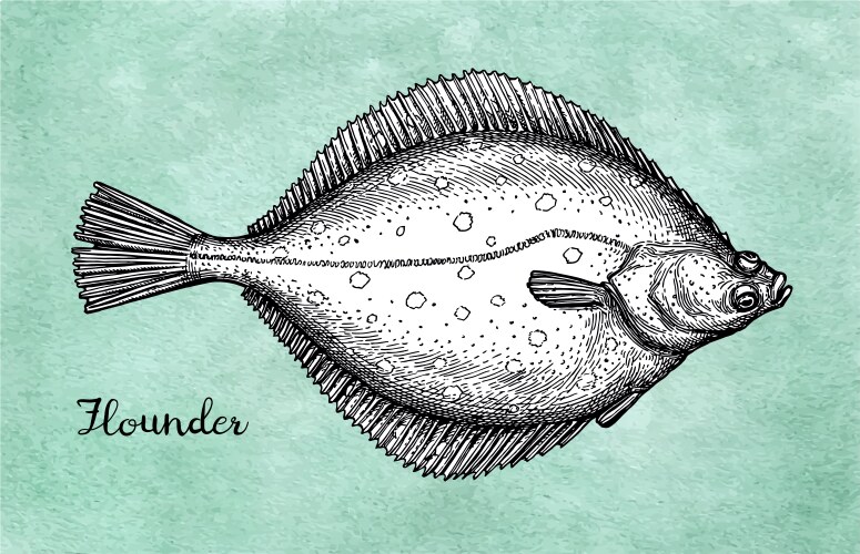 Flatfish Royalty Free Vector Image - VectorStock