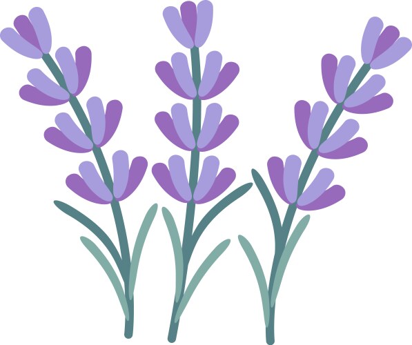 Lavender Vector Images (over 20,000)