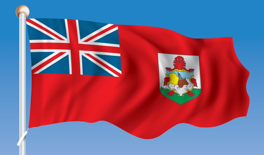 Year 2025 with flag of bermuda and in color Vector Image