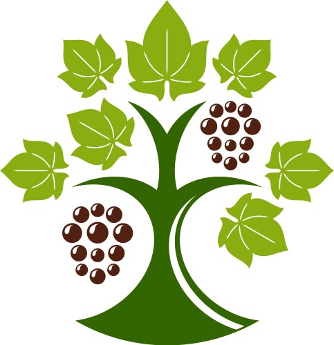 Grape Tree Vector Images (over 5,000)