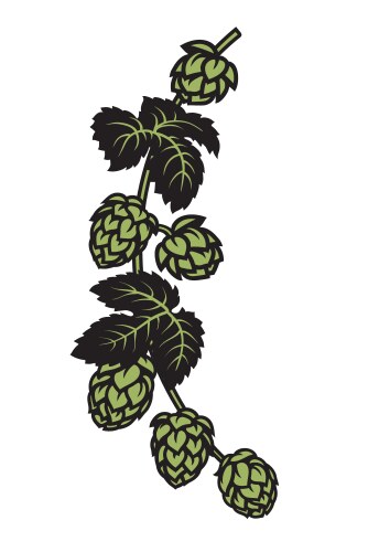 Hops Vector Images (over 52,000)