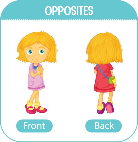 Little boy front and back Royalty Free Vector Image