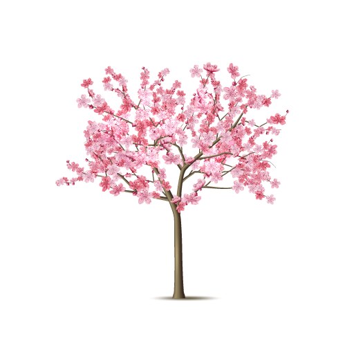 Sakura Vector Images (over 36,000)