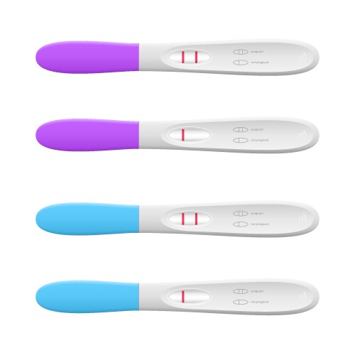 Realistic 3d detailed pregnancy test set Vector Image