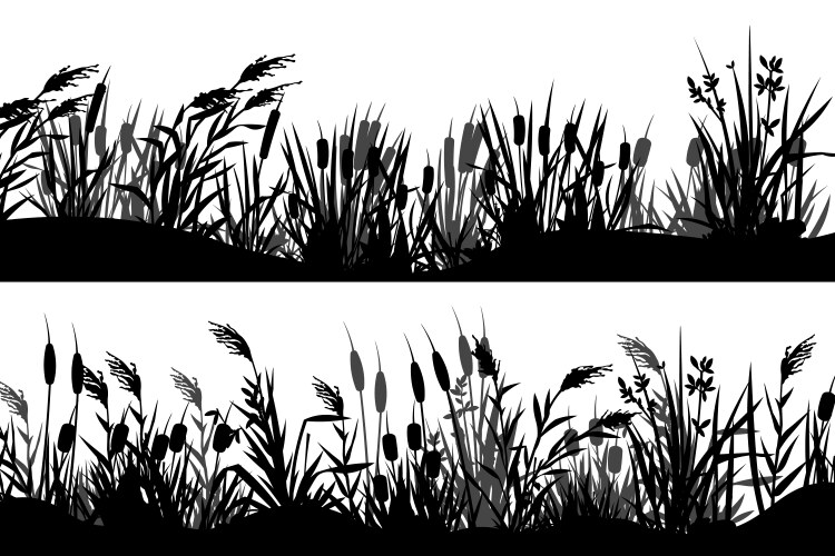 Reeds silhouette design reflecting over the lake Vector Image