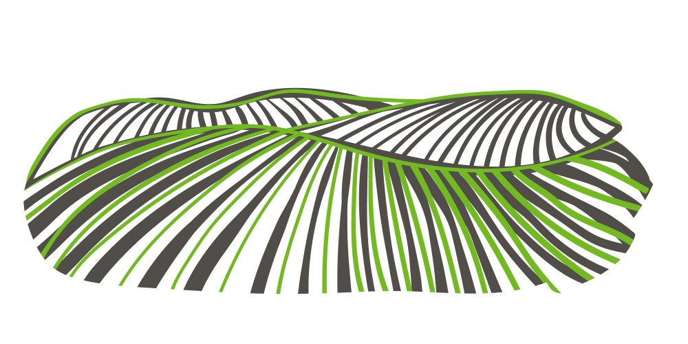 Farm field landscape on small hills furrows Vector Image