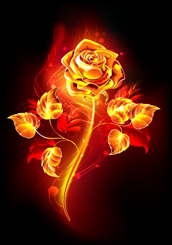 Fire rose with wings Royalty Free Vector Image