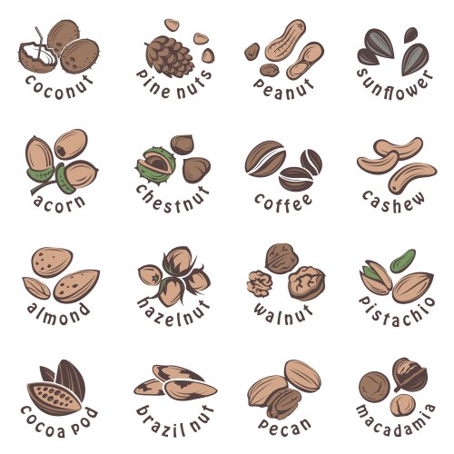 Nuts Vector Images (over 79,000)