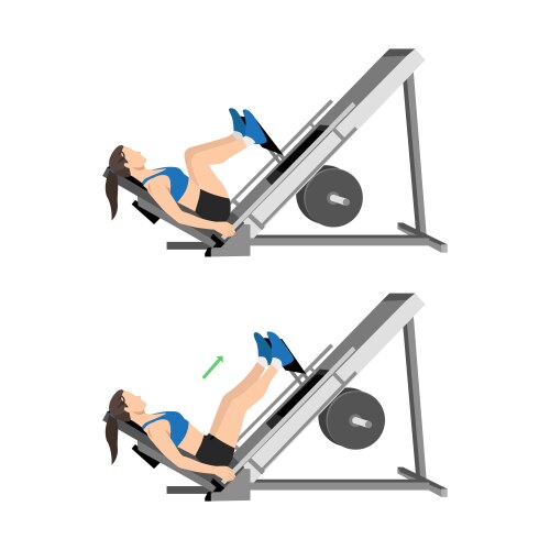 Woman doing leg press exercise on machine flat Vector Image