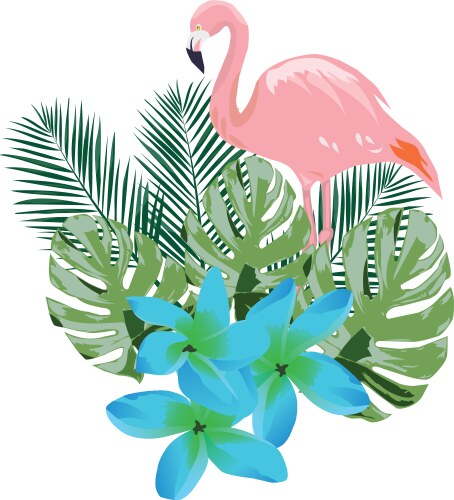 Flamingo Vector Images (over 29,000)