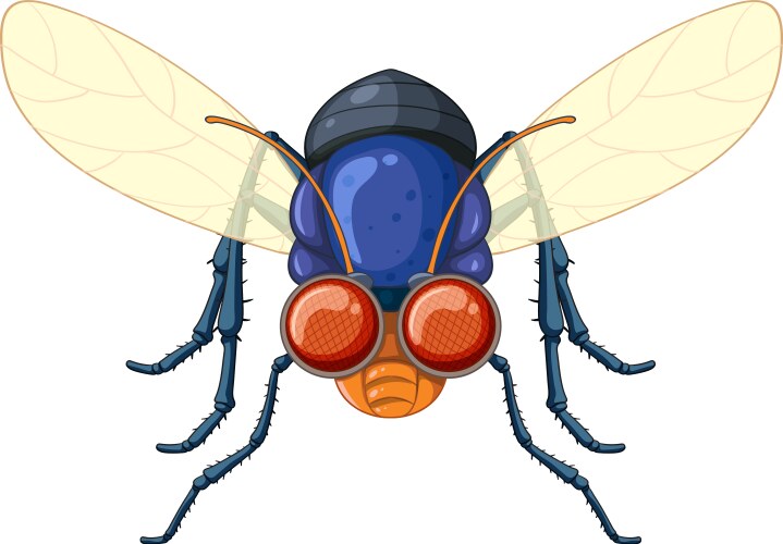 Cute little cartoon flies Royalty Free Vector Image