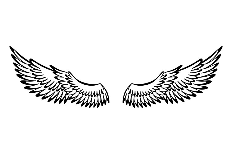 Wings Color Vector Images (over 110,000)