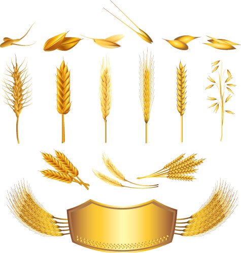 Wheat Vector Images (over 130,000)