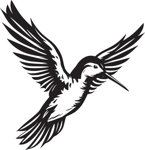 Hummingbird Vector Images (over 9,600)
