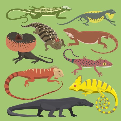 Lizard Outline Vector Images (over 5,300)
