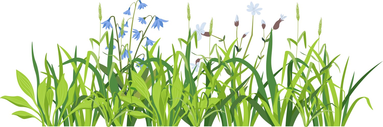 Greenery Vector Images (over 66,000)