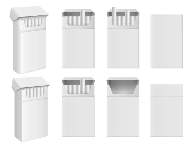 Realistic packages gift box mockup Royalty Free Vector Image