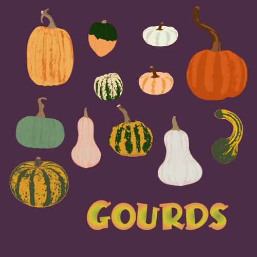 Gourds Vector Images (over 17,000)