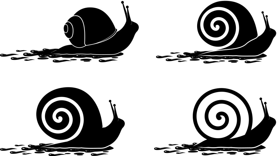 Snail Vector Images (over 42,000)