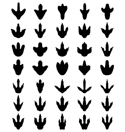 Outlined bottom brachiosaurus dinosaur paw Vector Image