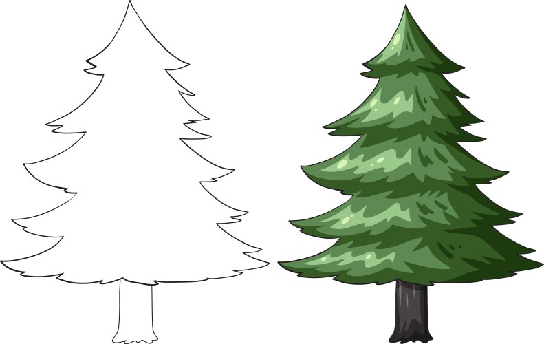Drawing Pine Tree Outline Vector Images (over 4,500)