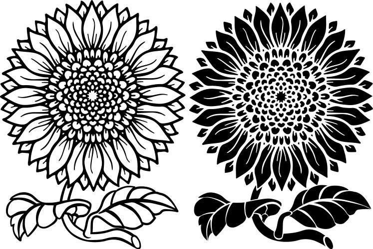 Sunflower Outline Vector Images (over 12,000)