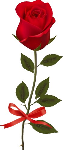 Rose Vector Images (over 330,000)