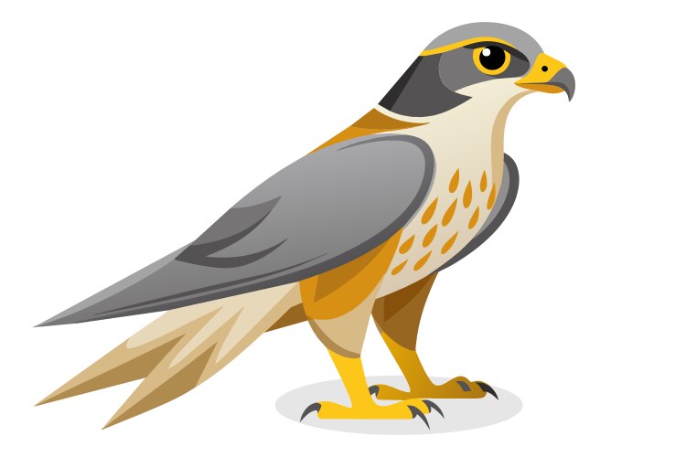 Falcon Cartoon Vector Images (over 5,900)