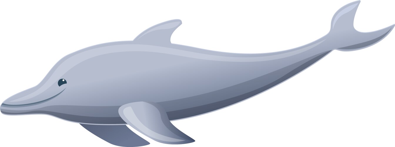 Grey Dolphin Vector Images (over 230)