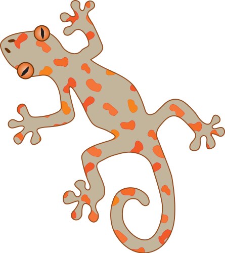 Cute gecko cartoon Royalty Free Vector Image - VectorStock