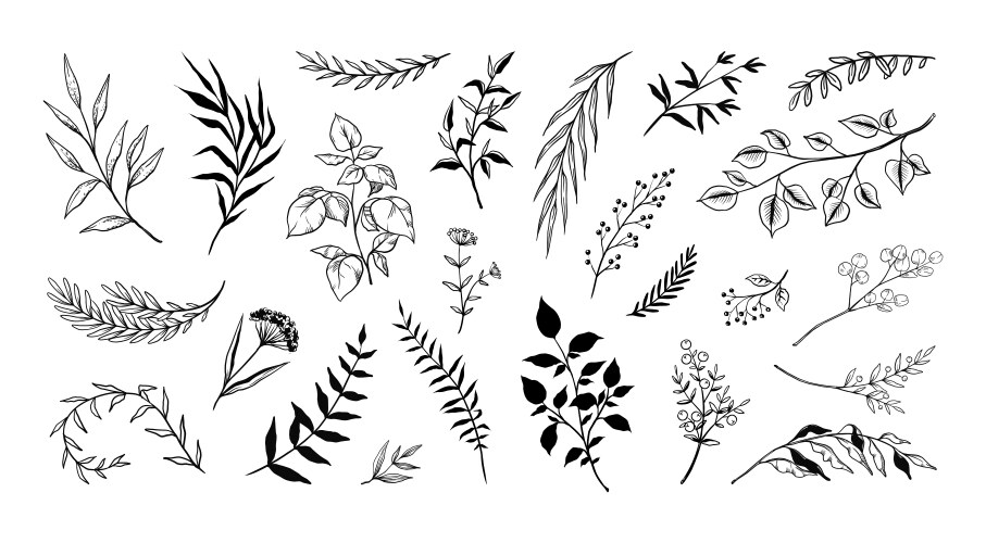 Plants Outline Vector Images (over 370,000)