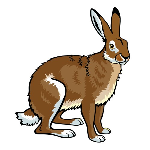 March hare Royalty Free Vector Image - VectorStock