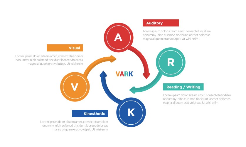 Vark learning styles infographics template Vector Image