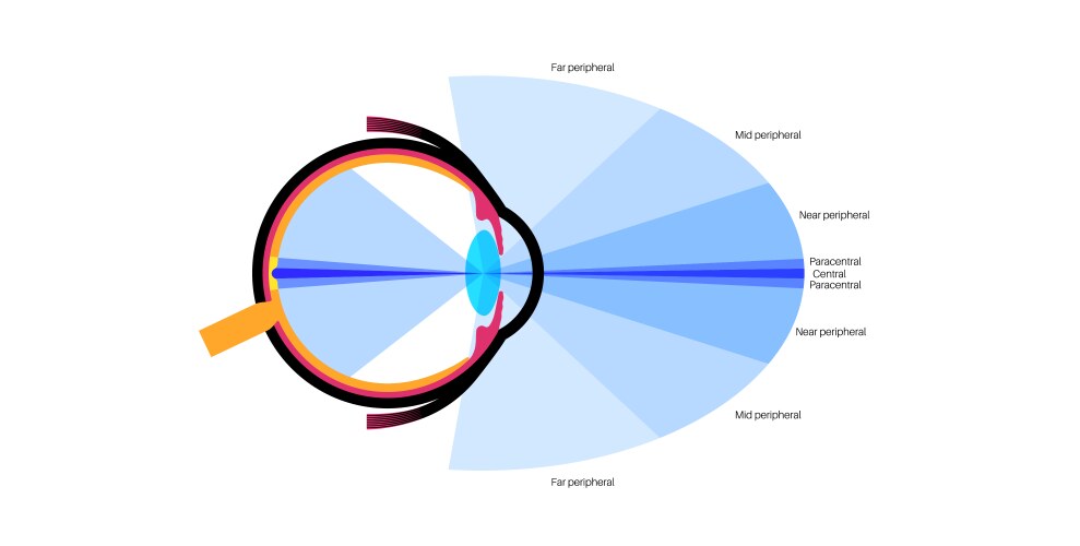 Peripheral vision poster Royalty Free Vector Image