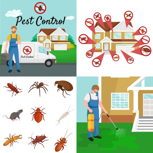 Pest control infographics Royalty Free Vector Image