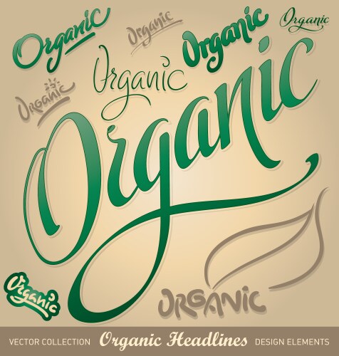 Organic hand lettering Royalty Free Vector Image