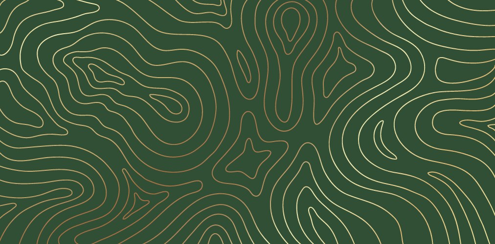 Topographic map background with space for copy Vector Image