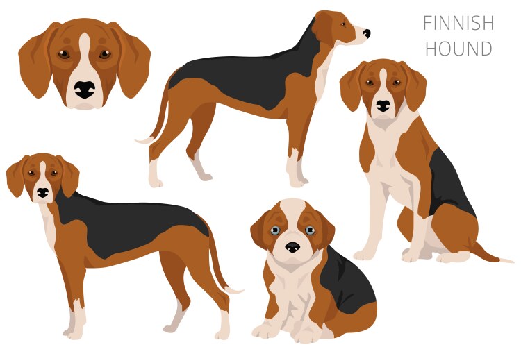 Hound Dog Vector Images (over 23,000)