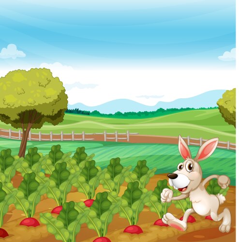 A rabbit at the farm with carrots Royalty Free Vector Image